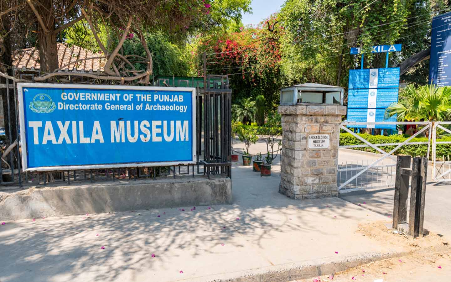 Taxila Museum: Location, Timings & More | Zameen Blog