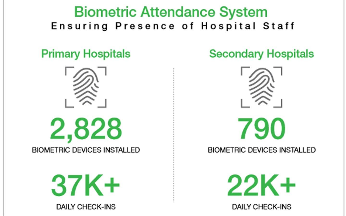 Punjab Information Technology Board: Overview & Services | Zameen Blog