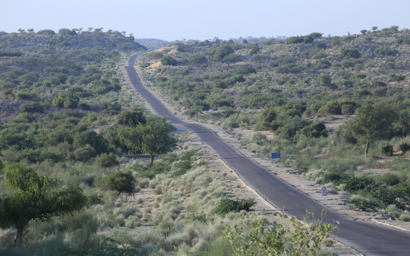 Visiting Thar Desert Pakistan: Location, Facts, & More | Zameen Blog