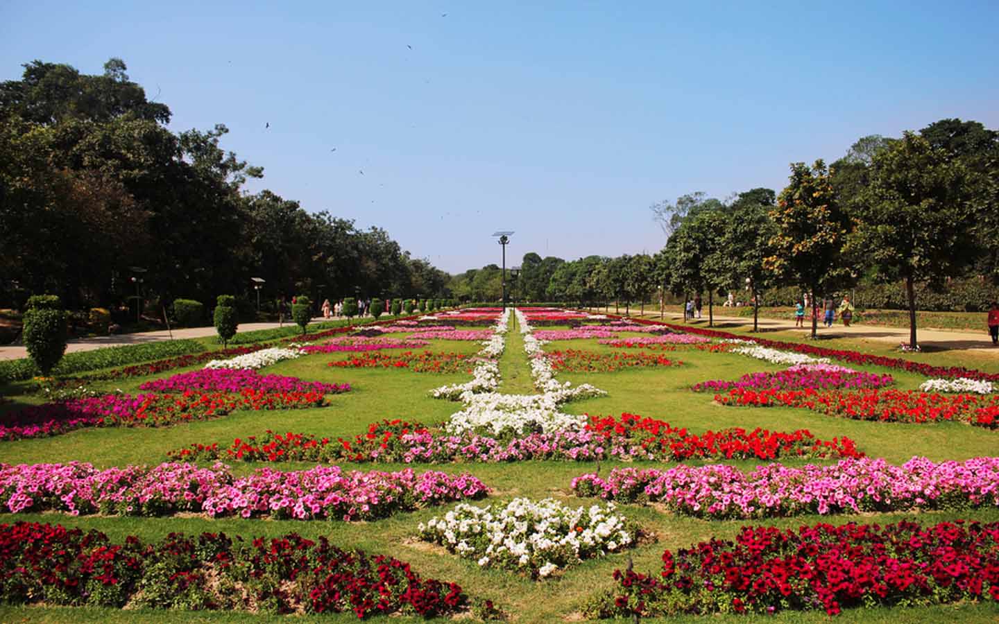 Parks & Horticulture Authority (PHA) Lahore: Overview | Zameen Blog