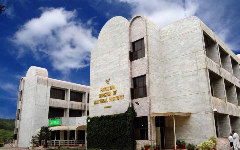 Pakistan Museum of Natural History: Timings, Tickets & More | Zameen Blog