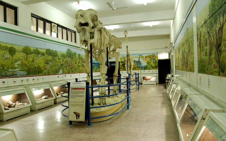 Pakistan Museum of Natural History: Timings, Tickets & More | Zameen Blog