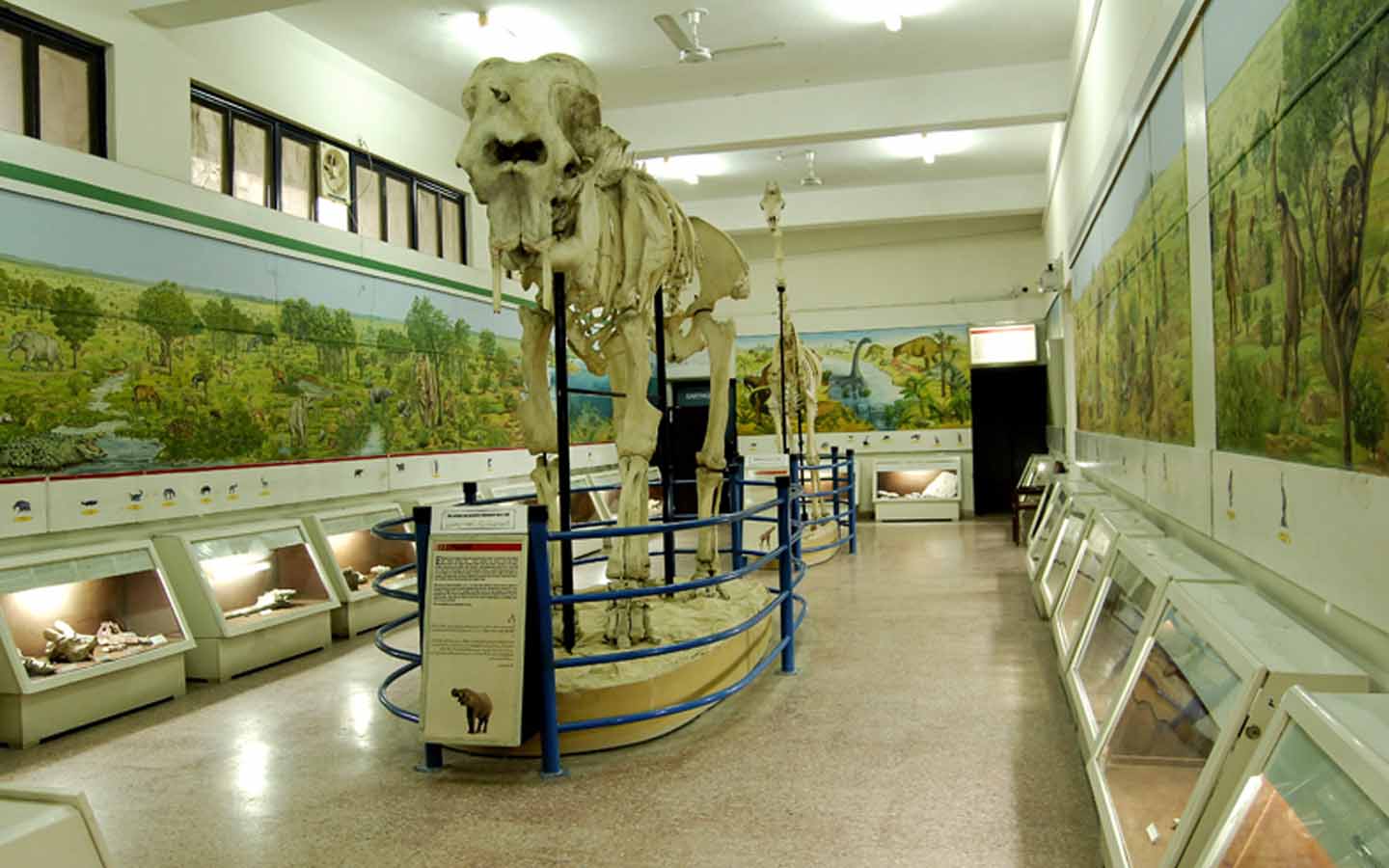 Pakistan Museum of Natural History: Timings, Tickets & More | Zameen Blog