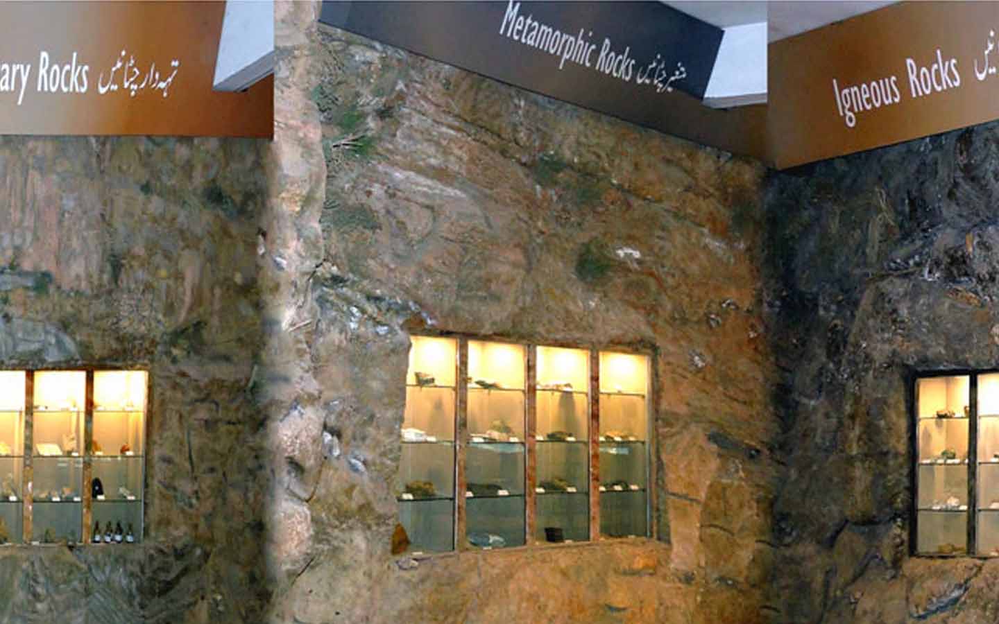 Pakistan Museum of Natural History: Timings, Tickets & More | Zameen Blog