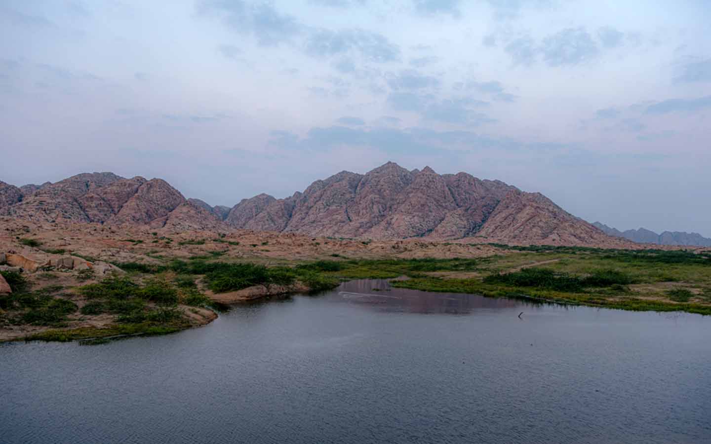 Planning a Trip to the Tharparkar District in Sindh | Zameen Blog
