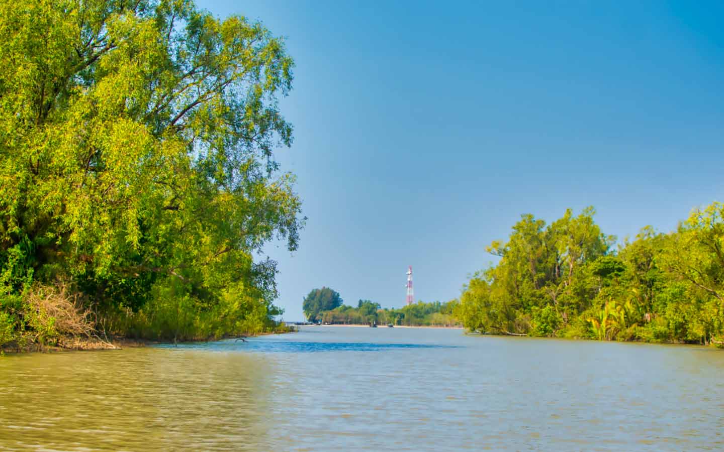 A Guide to Different Forests in Sindh | Zameen Blog