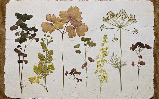 Natural Home Décor: Ways to Decorate Using Natural Elements | Zameen Blog