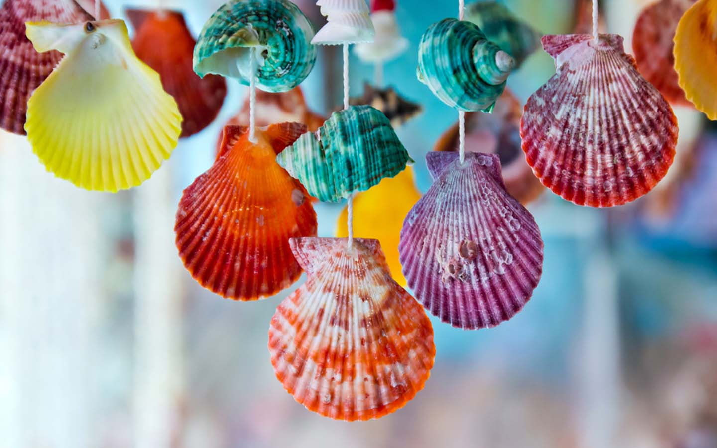 Natural Home Décor: Ways to Decorate Using Natural Elements | Zameen Blog