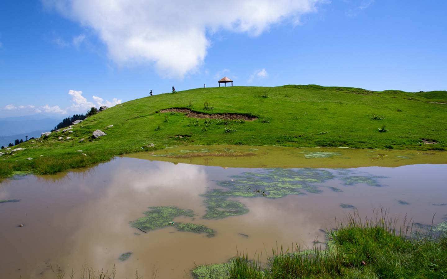 Best Places to Visit in Galiyat: Nathia Gali, Ayubia & More | Zameen Blog