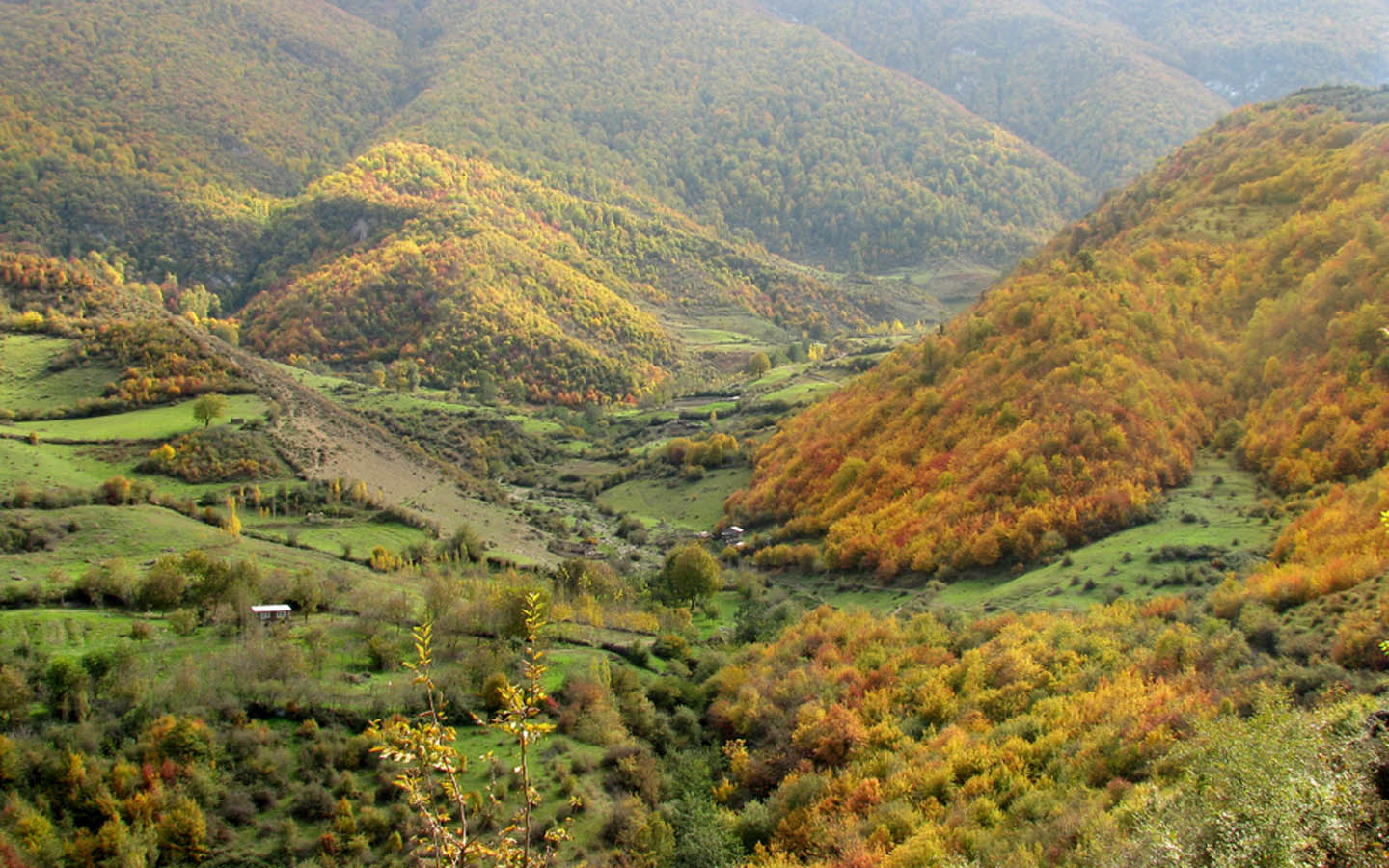 All About Ziarat Juniper Forest in Balochistan | Zameen Blog