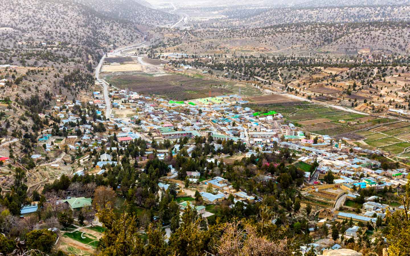 All About Ziarat Juniper Forest in Balochistan | Zameen Blog