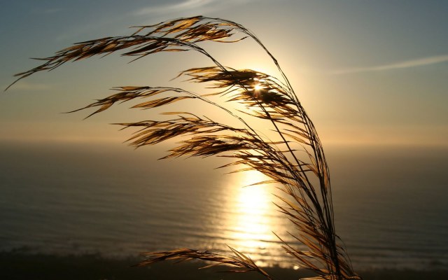 Maintenance Tips For Beachfront Houses | Zameen Blog