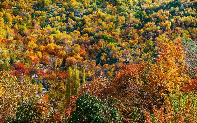 Chinji National Park In Khewra Becomes A Protected Forest| Zameen Blog