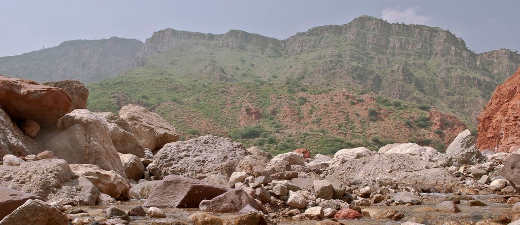 Chinji National Park In Khewra Becomes A Protected Forest| Zameen Blog