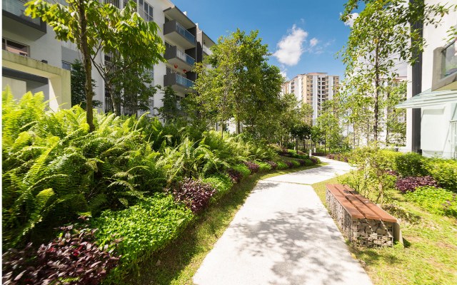 The Importance of Green Spaces in Cities | Zameen Blog