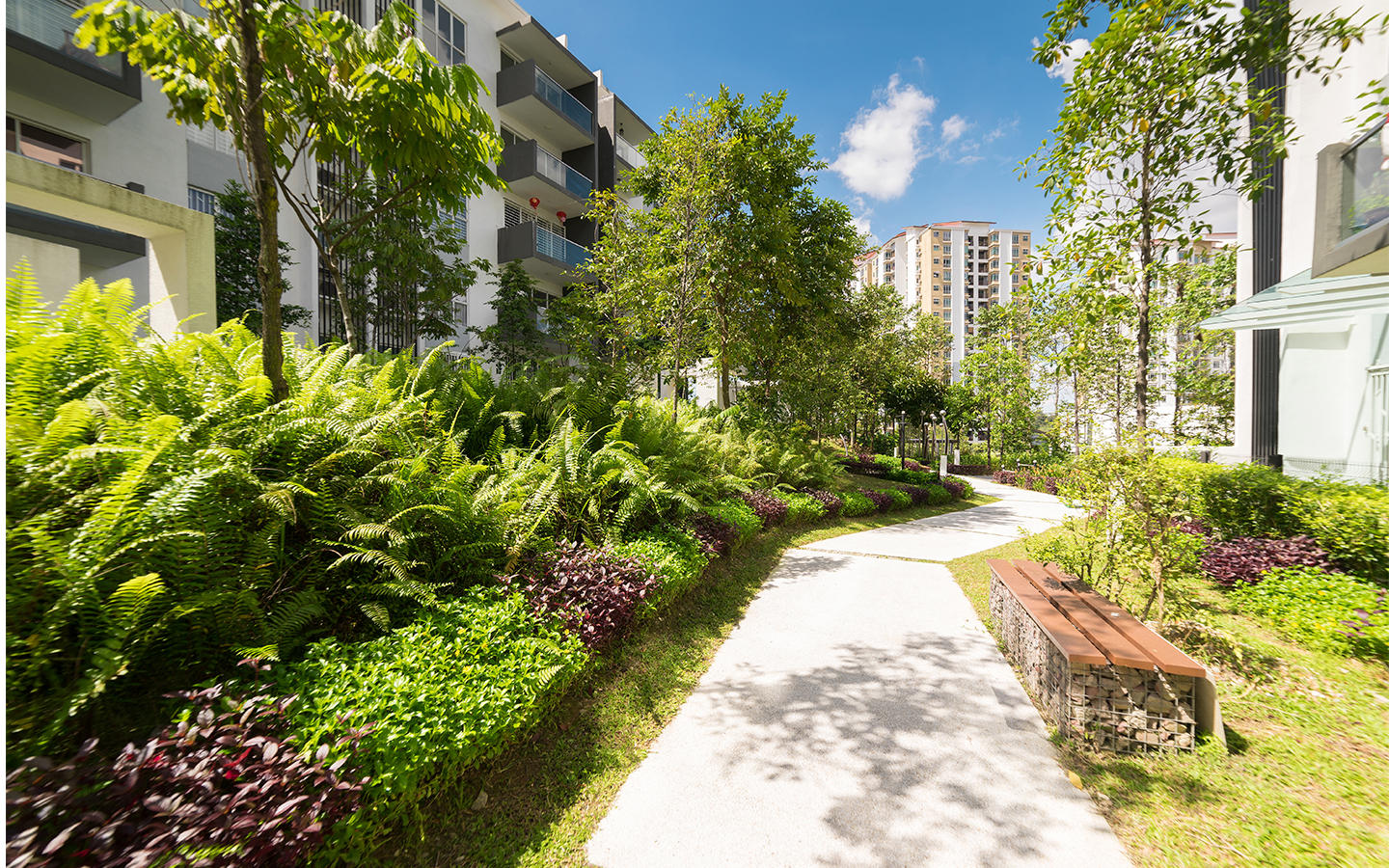 The Importance Of Green Spaces In Cities Zameen Blog