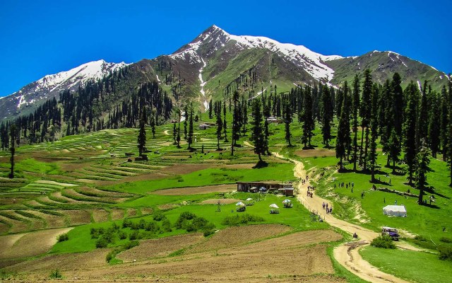 Pakistan To Host World Environment Day 2021 | Zameen Blog