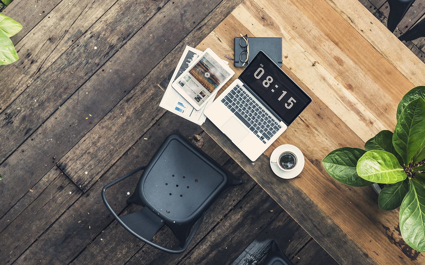 Choose From The Best Plants For Workstations | Zameen Blog