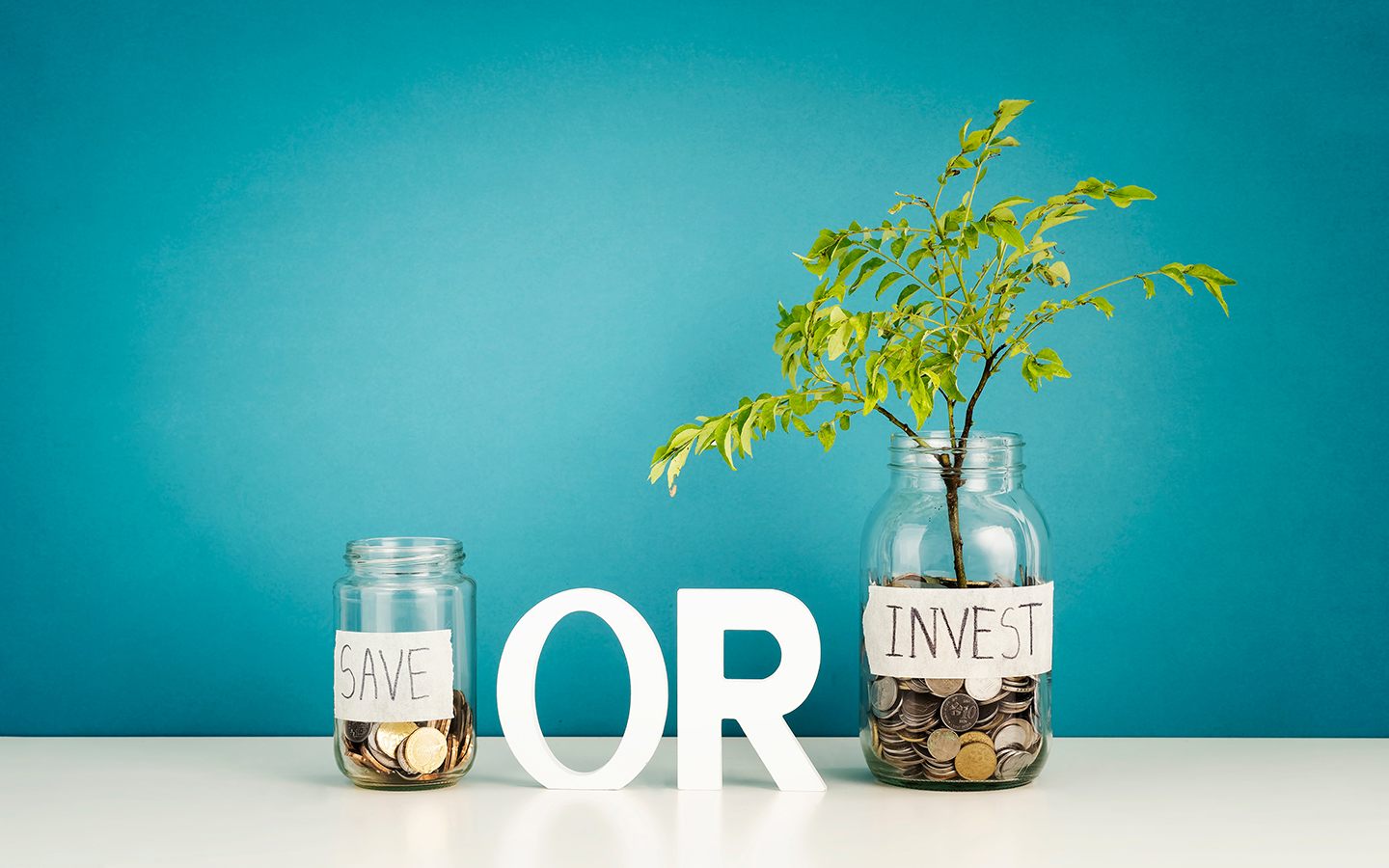 Savings vs Investment: What is The Difference Between Them | Zameen Blog