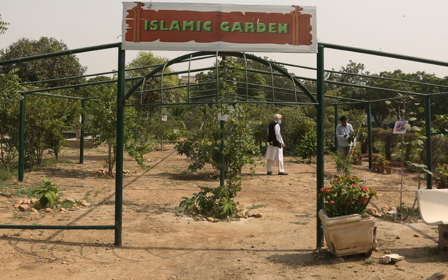 Tree Plantation in Pakistan: Greenery, Initiatives, Campaigns & More ...