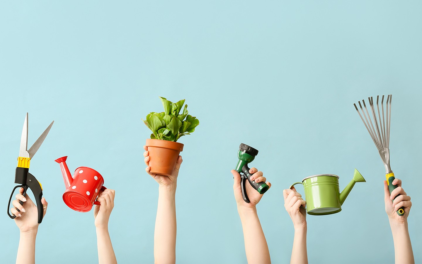 Home Gardening with Kids: Ideas & Useful Tips | Zameen Blog