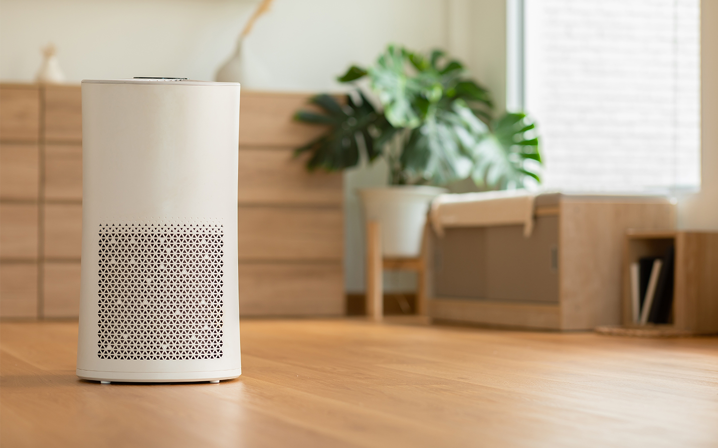 The Critical Role of Air Purifiers in Pollution Battle | Zameen Blog